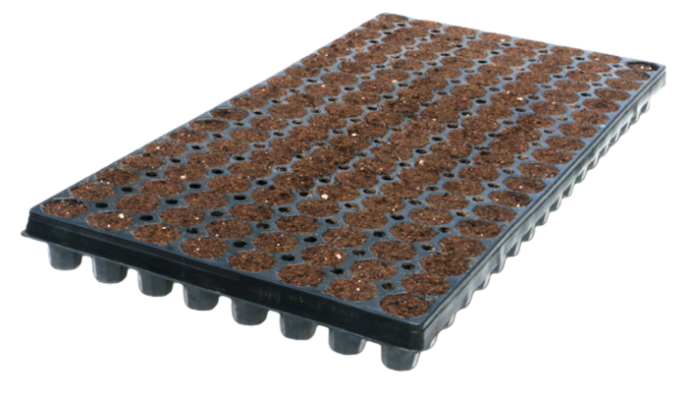 144 Excel Plug Tray - ihort